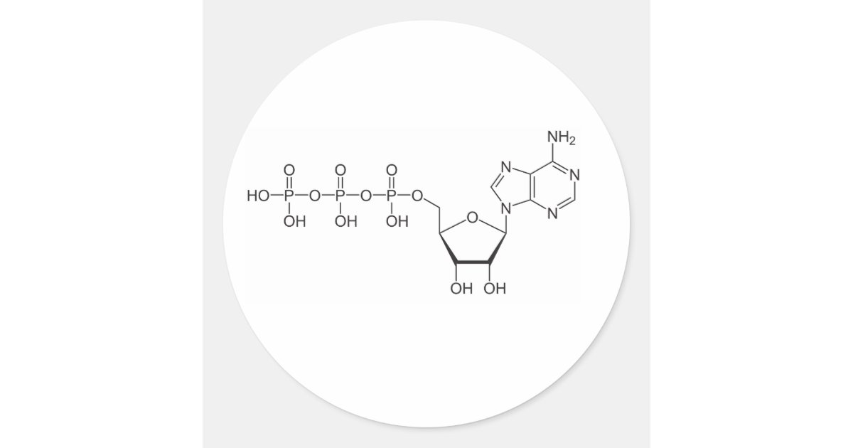 ATP molecule Classic Round Sticker | Zazzle