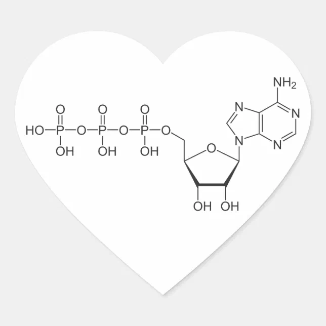 ATP molecule Heart Sticker | Zazzle