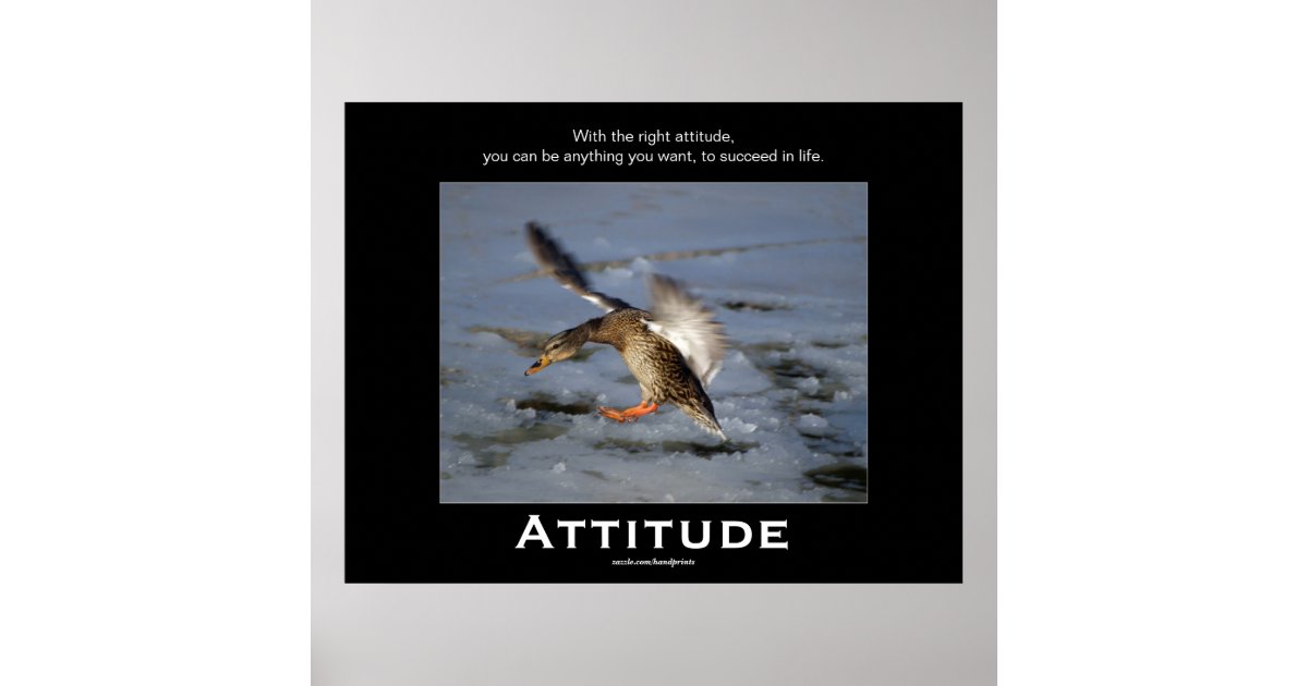 Attitude Mallard Duck Motivational Posters | Zazzle
