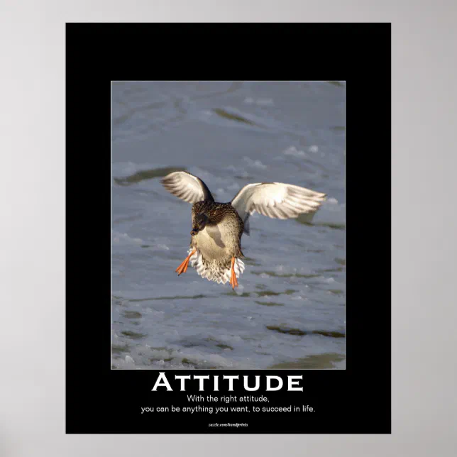 Attitude Mallard Duck Motivational Posters | Zazzle