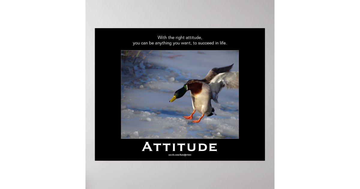 Attitude Mallard Duck Motivational Posters | Zazzle