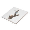 Audobon Red-Breasted Nuthatch Ceramic Tile | Zazzle