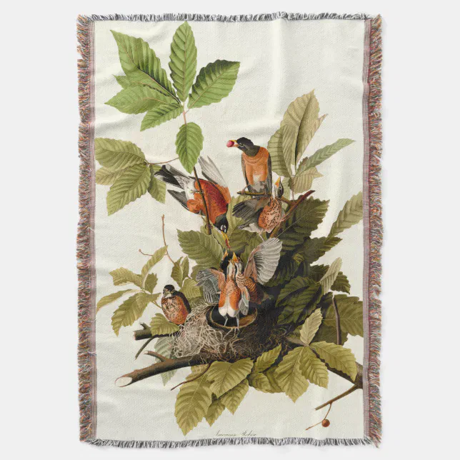 Audubon American Robin Wildlife Bird Illustration Throw Blanket | Zazzle