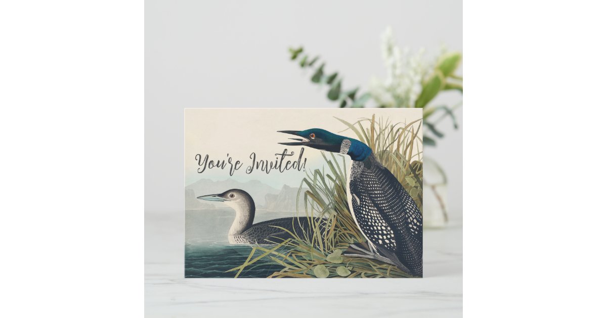 Audubon Bird Loon Diver Classic Invitation | Zazzle