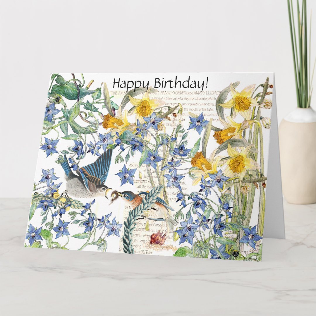 Audubon Bluebird Bird Floral Birthday Card | Zazzle