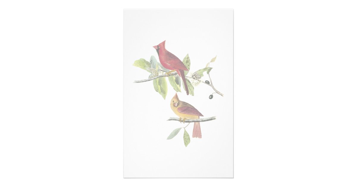 Audubon Cardinal Stationery | Zazzle.com