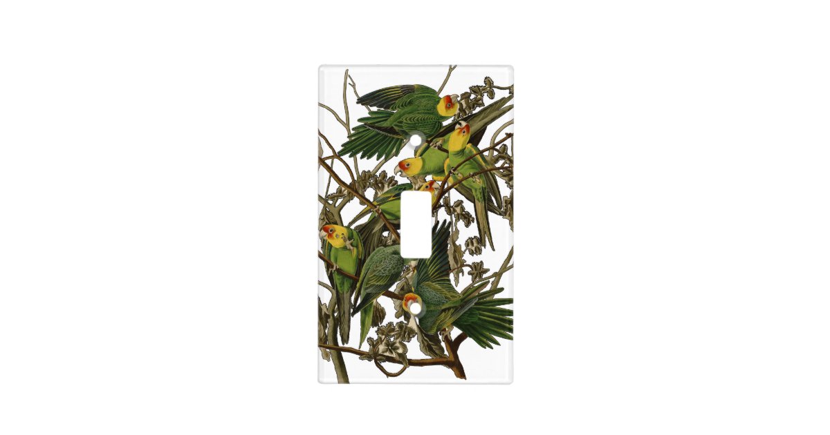 Audubon Carolina Parrot Bird illustration Light Switch Cover | Zazzle