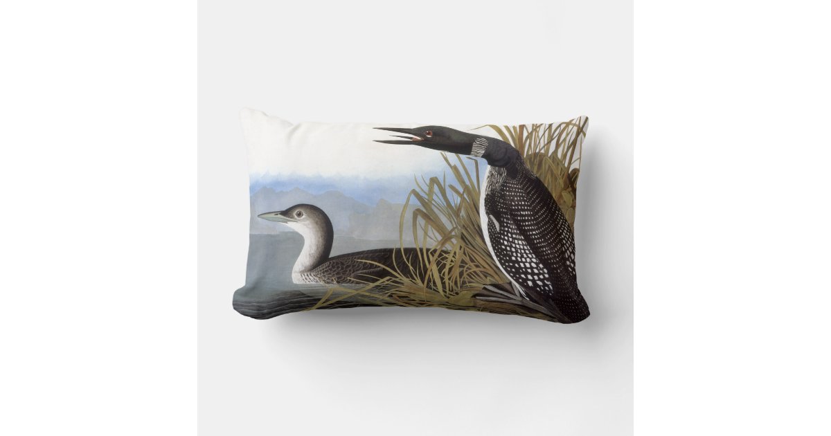 Audubon: Common Loon Lumbar Pillow | Zazzle