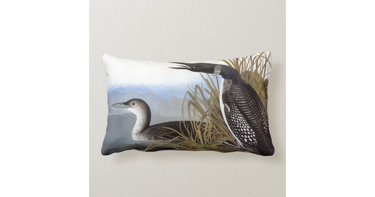 Audubon: Common Loon Lumbar Pillow | Zazzle.com