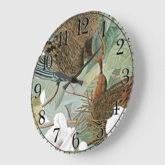 Audubon Dove Bird Animal Wildlife Wall Clock | Zazzle
