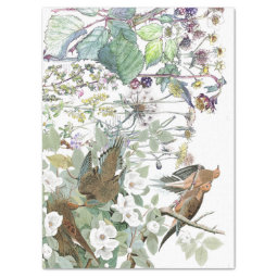 Audubon Dove Bird Wildflower Flowers Tissue Paper | Zazzle