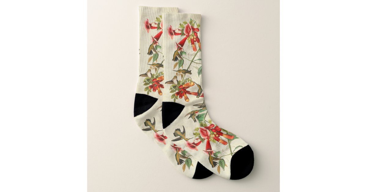 Audubon Hummingbird Birds Flowers Socks | Zazzle.com