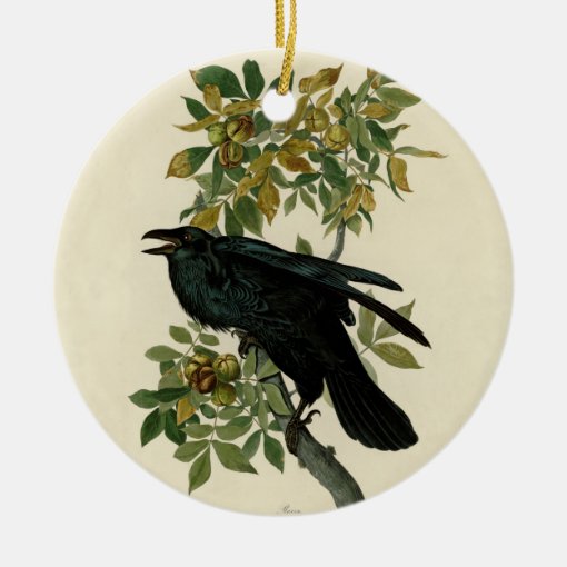 Audubon Raven Bird Classic Artwork Ceramic Ornament | Zazzle