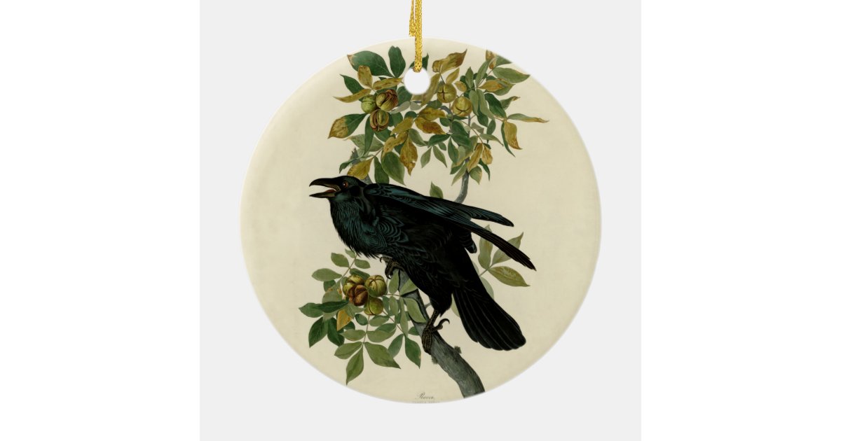 Audubon Raven Bird Classic Artwork Ceramic Ornament | Zazzle