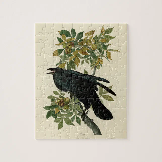 Audubon Raven Bird Classic Artwork Jigsaw Puzzle | Zazzle