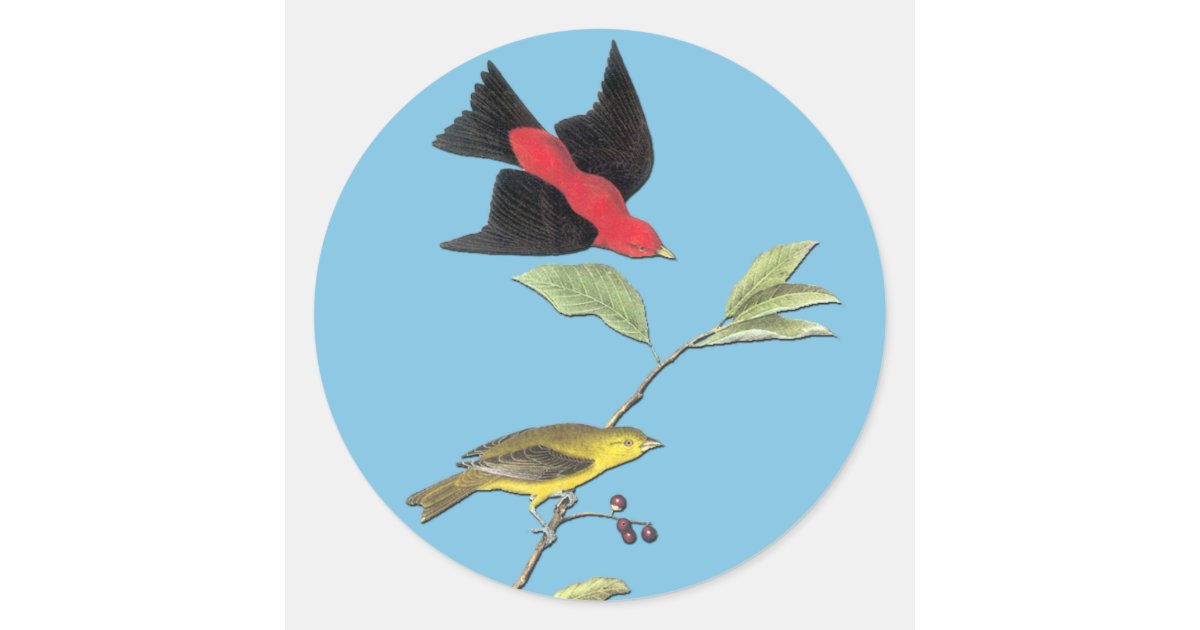 Audubon Scarlet Tanager Bird Art Stickers | Zazzle