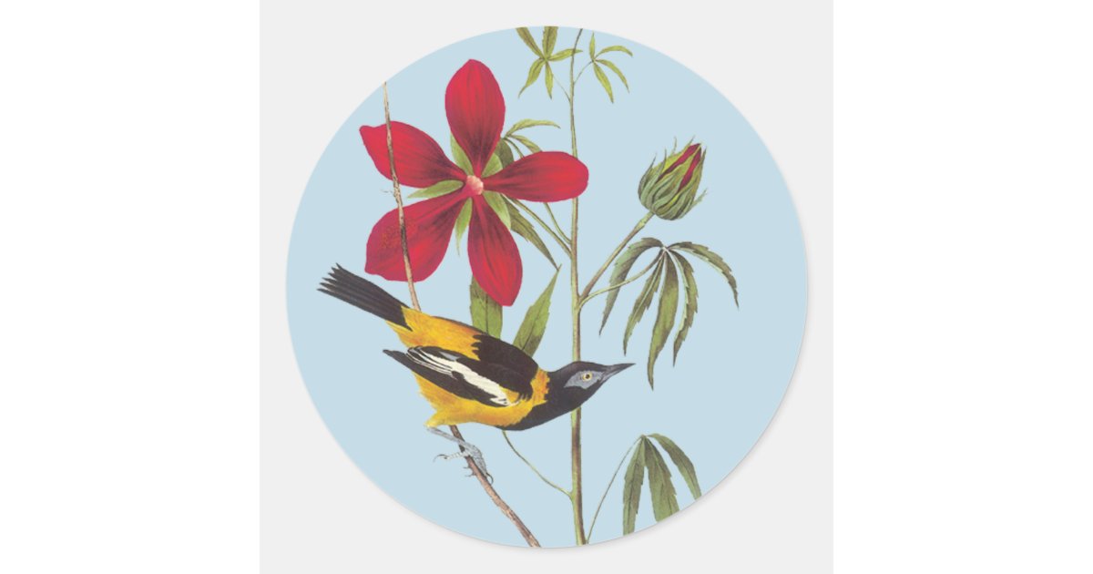 Audubon Troupial Bird Art Stickers | Zazzle