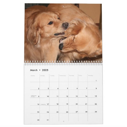 Augie & Ti's 2012 Golden Retriever Calendar | Zazzle