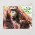 August 19 - World Orangutan Day Postcard | Zazzle