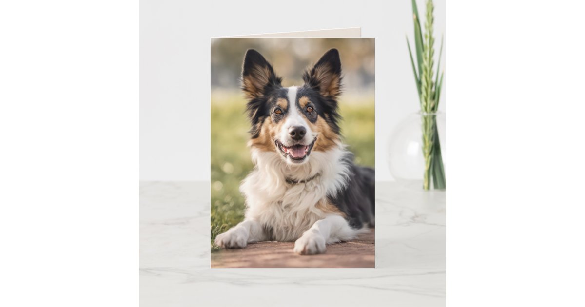 Aussie Birthday Dog With Smiles Card | Zazzle