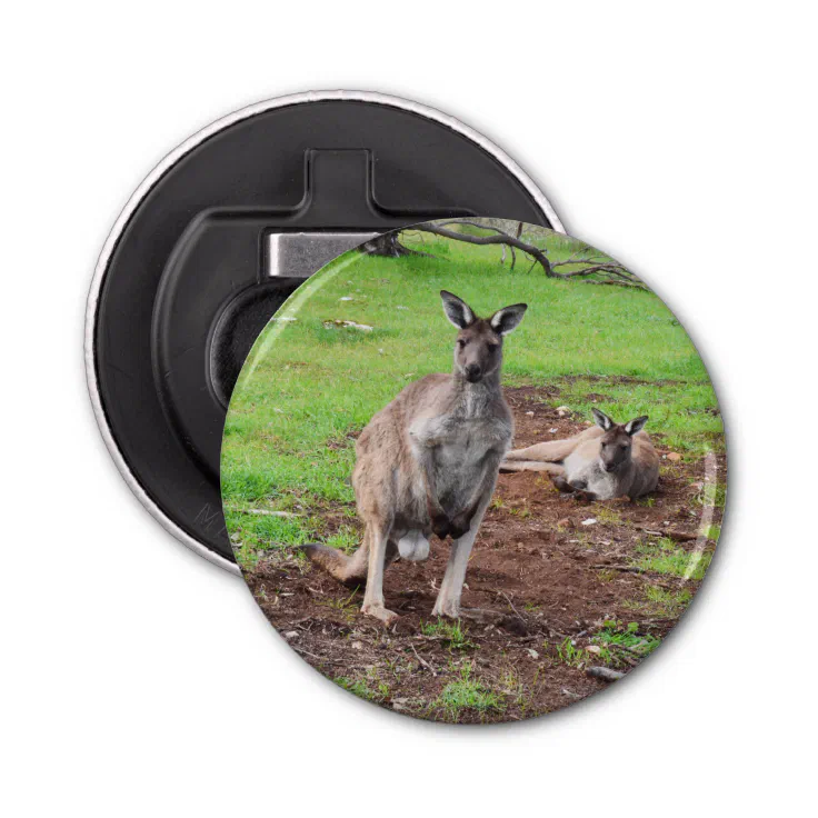 Aussie Buck Kangaroo, Magnetic Bottle Opener. Bottle Opener | Zazzle
