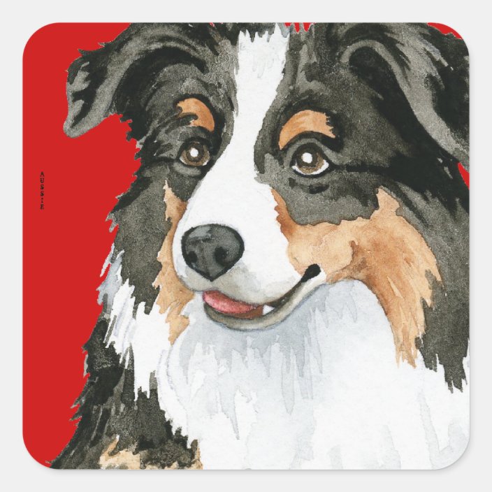 Aussie Color Block Square Sticker | Zazzle.com
