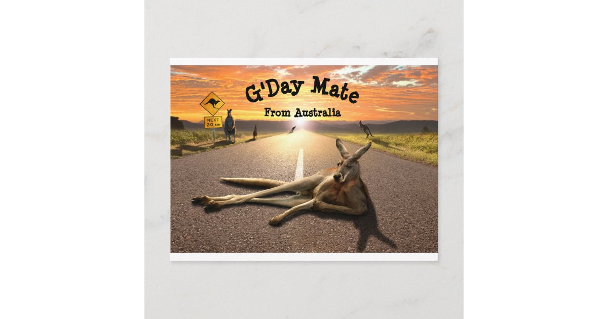 Aussie Kangaroo Postcard | Zazzle