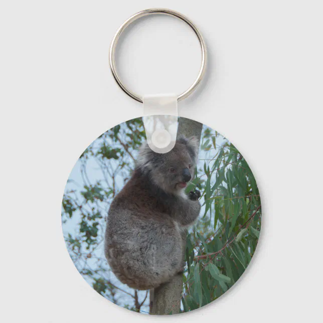 Australia Kangaroo Island Koala in a Tree Keychain | Zazzle