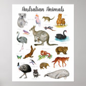 Australian Animals | Education Learning Classroom Poster | Zazzle
