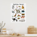 Australian Animals | Education Learning Classroom Poster | Zazzle