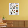 Australian Animals | Education Learning Classroom Poster | Zazzle
