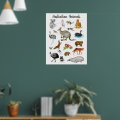 Australian Animals | Education Learning Classroom Poster | Zazzle