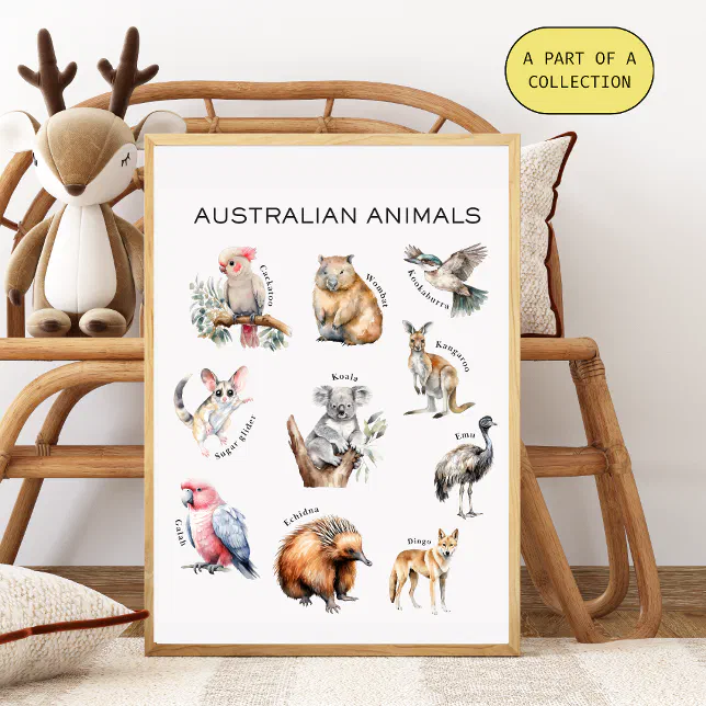 Australian Animals Educational Poster | Zazzle