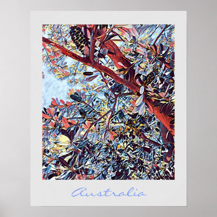 Australian Banksia tree native plant Poster | Zazzle