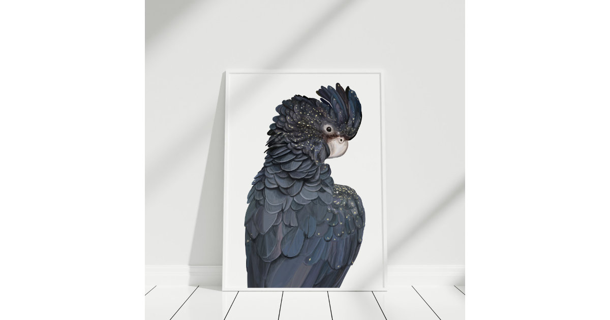 Australian Black Cockatoo Illustration Poster | Zazzle