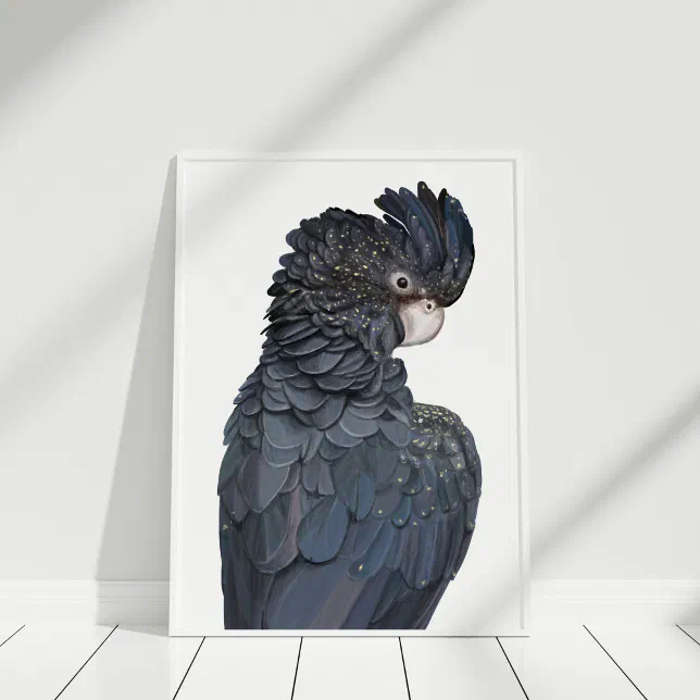 Australian Black Cockatoo Illustration Poster | Zazzle