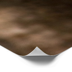 Australian dingo poster | Zazzle