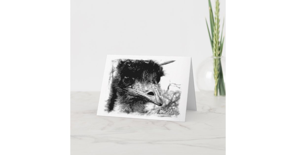 Australian Emu Birthday Greeting Card | Zazzle