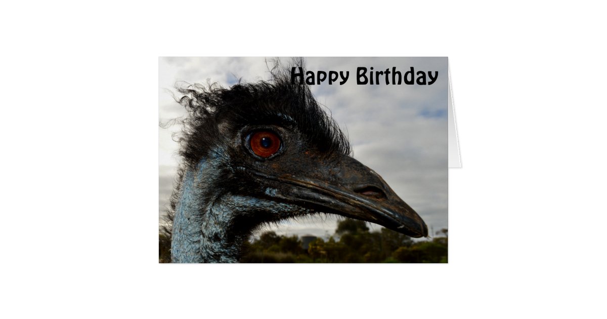 Australian Emu Close up, Birthday Card | Zazzle