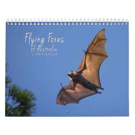 Australian Flying Fox Bat Calendar - 3 sizes | Zazzle.com