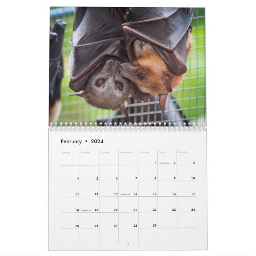 Australian Flying Fox Bat Calendar - 3 sizes | Zazzle