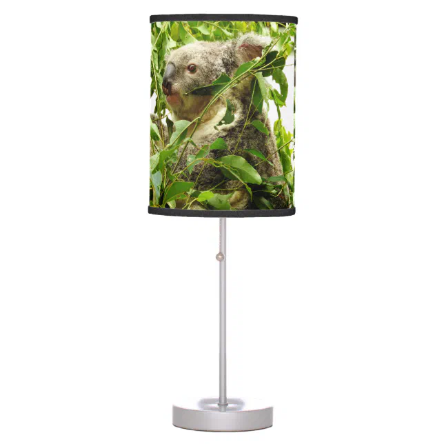 Australian Koala Table Lamp | Zazzle