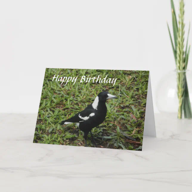 Australian Magpie Happy Birthday Card | Zazzle