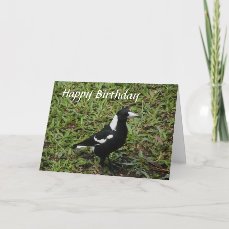 Australian Magpie Happy Birthday Card | Zazzle