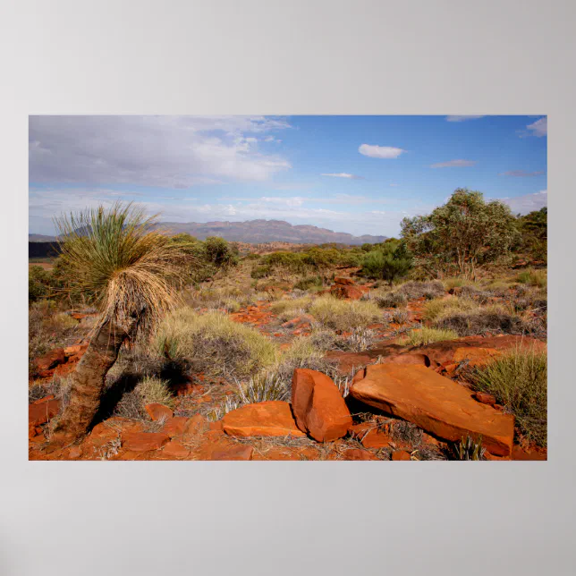 Australian Outback Desert Poster | Zazzle