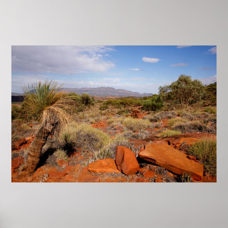 Australian Outback Desert Poster | Zazzle
