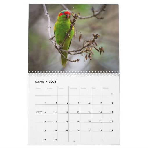 Australian Parrots & Cockatoos calendar - 3 sizes | Zazzle