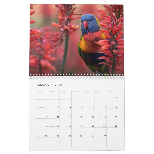 Australian Parrots & Cockatoos calendar - 3 sizes | Zazzle
