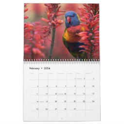 Australian Parrots & Cockatoos calendar - 3 sizes | Zazzle