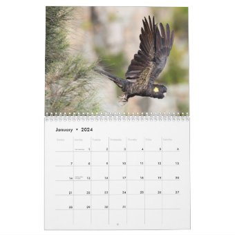 Australian Parrots & Cockatoos calendar - 3 sizes | Zazzle